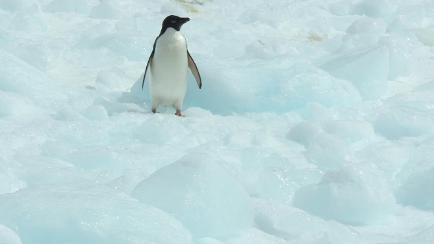 新しい「余暇の過ごし方」とは｜kazaar｜coconalaブログ