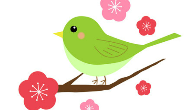 ぐりじいこブログ一覧｜coconalaブログ