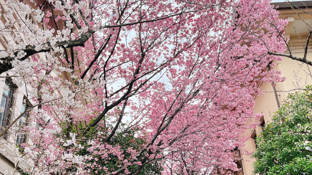 存在価値を認め、評価するということ｜頑張る方の専属秘書 fuji｜coconalaブログ