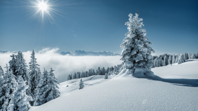 格言｜占い師 導春｜coconalaブログ