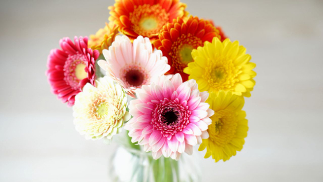 考えすぎていませんか、負のループから抜け出そう｜紫光【SHIKO】遠隔透視鑑定士｜coconalaブログ