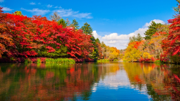 オリオン・シルバーホワイト・レイ2のガイアの役割｜ariosu｜coconalaブログ