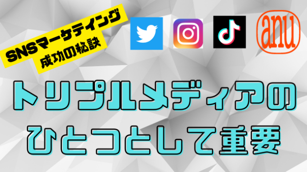 【トリプルメディア_2】戦略のひとつとして重要｜ Anu ｜coconalaブログ