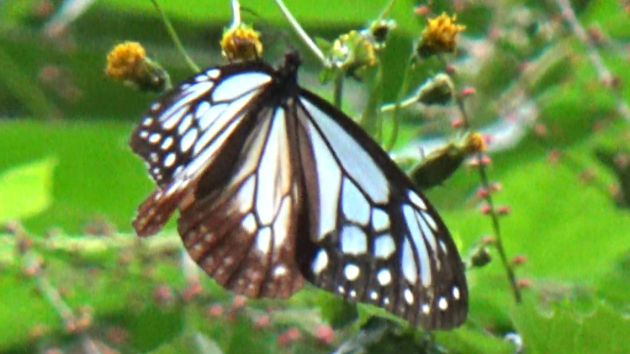 岐阜城近く通過しました_2024｜nuneno｜coconalaブログ