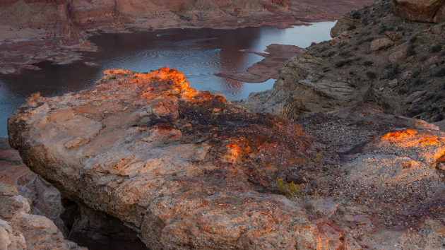 色即是空との関係は感情のコントロールと深い関係性｜kazaar｜coconalaブログ