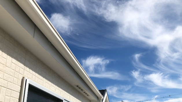 ☆今日も笑顔で☆令和5年11月9日（木）仏滅☆｜YCキャリア相談室｜coconalaブログ