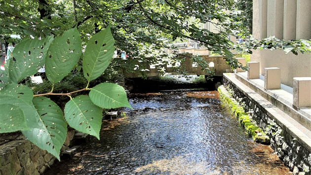 京都ぶらり 高瀬川から木屋町あたり｜hiroshi0369｜coconalaブログ