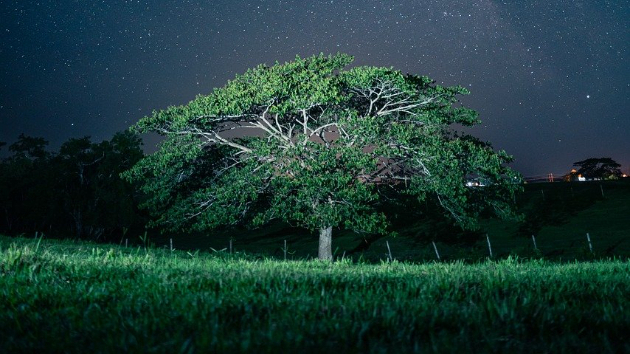 とことん優秀な人の真似をしよう｜Yataberry｜coconalaブログ