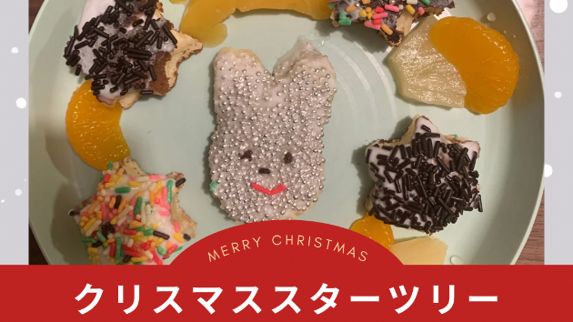クリスマススターツリー｜なぜラボ ようこ｜coconalaブログ