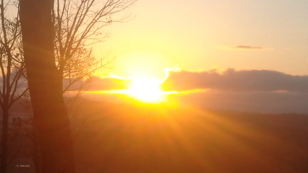 あけましておめでとうございます「やりがいについて」｜micomaru｜coconalaブログ