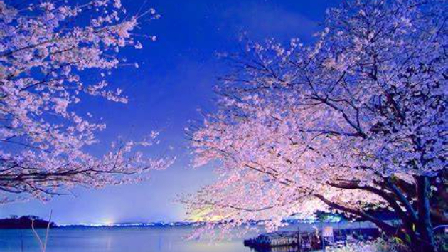 格言｜占い師 導春｜coconalaブログ