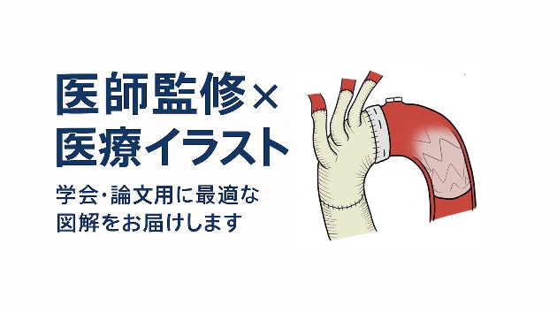 【医師監修】論文・学会で使える高品質な医療イラスト、制作します！｜Yui Tashima｜coconalaブログ