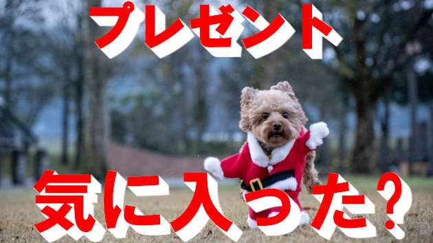 クリスマス会！！｜オビONE｜coconalaブログ