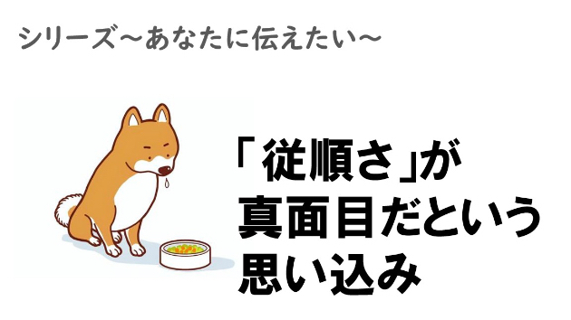 （419日目）真面目に生きて報われないあなたへ(1)｜かめきち 悩めるアナタをプロデュース！｜coconalaブログ