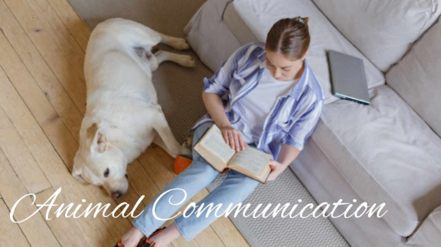 murmur123ブログ一覧｜coconalaブログ