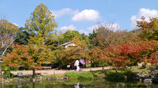 2023秋の京都 円山公園から｜hiroshi0369｜coconalaブログ