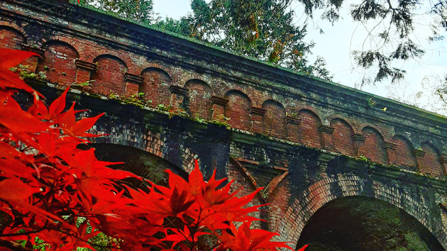 全国旅行支援スタート｜hiroshi0369｜coconalaブログ