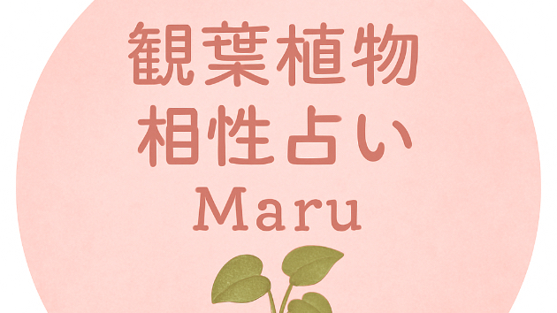 観葉植物相性占い始めました＊＊＊｜観葉植物 相性占いMaru｜coconalaブログ