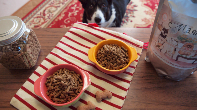 しゃちせるブログ一覧｜coconalaブログ