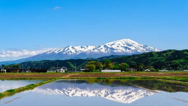 十六団子（じゅうろくだんご）の日｜紫光【SHIKO】遠隔透視鑑定士｜coconalaブログ