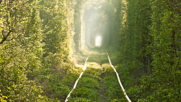 何かを抜け出せない時｜光の仕事人＠SACHIKO｜coconalaブログ