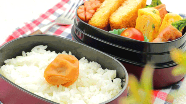 夏に起きやすい“手作り弁当”の食中毒｜紫光【SHIKO】遠隔透視鑑定士｜coconalaブログ