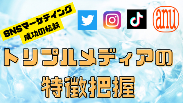 【トリプルメディア】SNSマーケティング成功の秘訣｜ Anu ｜coconalaブログ