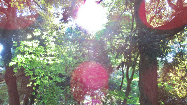 新生レムリアの光｜kan 369｜coconalaブログ