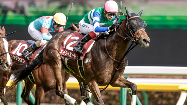 京王杯スプリングカップ | AlexsAkinola