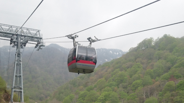 方罪はついて回る｜AKI 気功師 占い師｜coconalaブログ