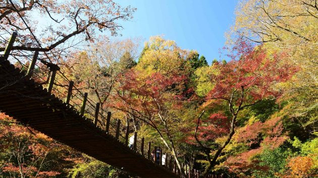 格言｜占い師 導春｜coconalaブログ