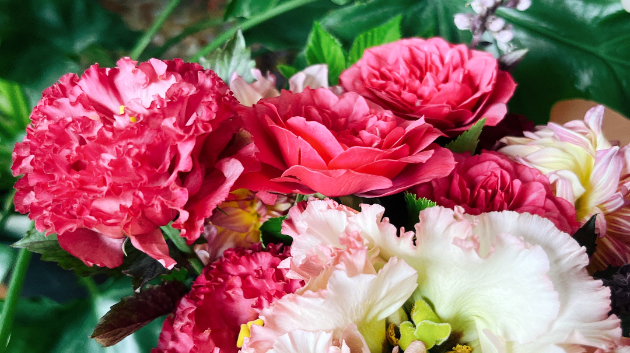 導かれるように｜頑張る方の専属秘書と専属占い師 fuji｜coconalaブログ