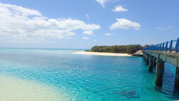 初めまして!!｜あなたの味方☆ヒーラーYumi｜coconalaブログ