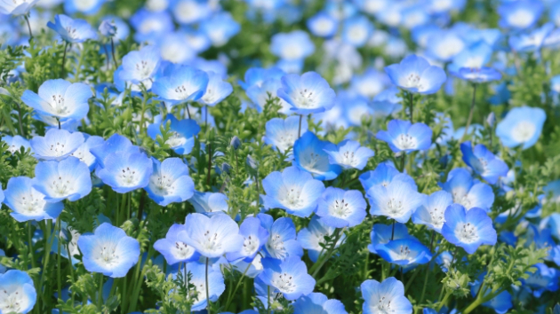 ツインレイ過去生リーディング｜Aya♡愛と光のスピリチュアルガイド｜coconalaブログ