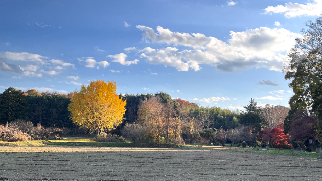 私は、わたし。｜＊とく＊｜coconalaブログ