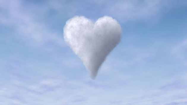 悲しい、辛い、を含めた本当の幸せ（つれづれに想う事）｜herbraffia｜coconalaブログ