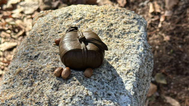 庚子日｜marina2008｜coconalaブログ