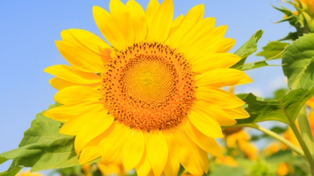 人のやさしさ｜murmur123｜coconalaブログ