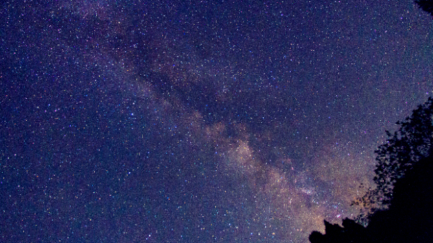 努力と成功と、運｜first flush｜coconalaブログ