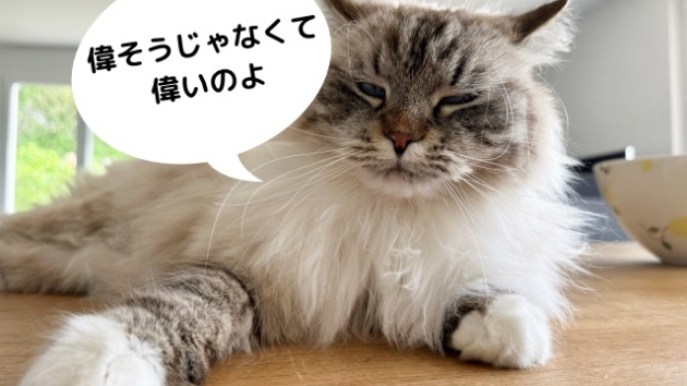 偉そうだから何？｜nori_nori_｜coconalaブログ