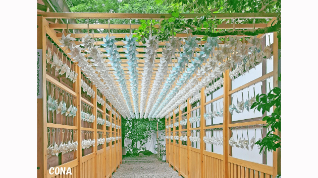 CONAさんぽ3★「小江戸川越」後編 ｜CONA．｜coconalaブログ