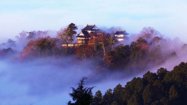 遠隔での伝授方法、コールイン設定とリアルタイムについて｜ariosu｜coconalaブログ