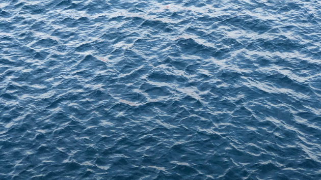 習慣に必要な柔軟性とは｜kazaar｜coconalaブログ