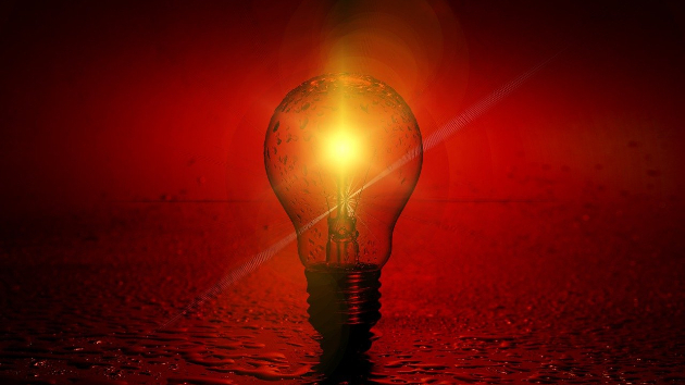 天才の育て方｜ルビー･ミッドナイト｜coconalaブログ