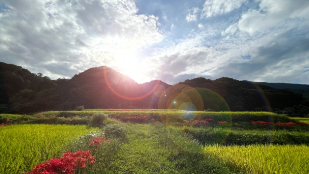 月命星（生まれ月の九星）が二黒土星の人｜Sara Aikawa｜coconalaブログ