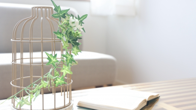 困ったことがあったら スピリチュアルメッセージ13｜スピリチュアルカウンセラー 神山 純｜coconalaブログ