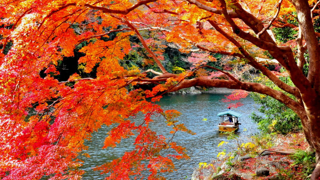 格言｜占い師 導春｜coconalaブログ