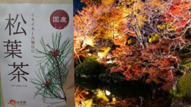 アイシス_Isis 美羽 優雨伽ブログ一覧｜coconalaブログ