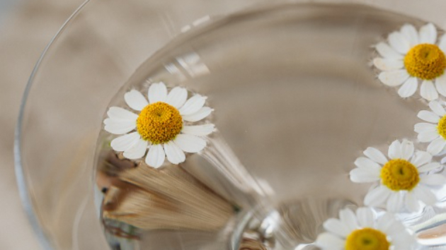 家としあわせ｜ma piece｜coconalaブログ