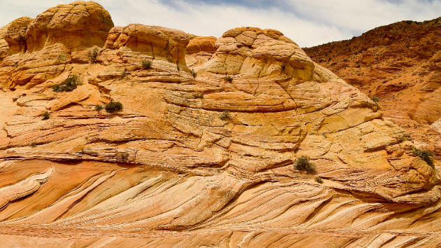 パフォーマンス発揮の要因となるもの｜kazaar｜coconalaブログ